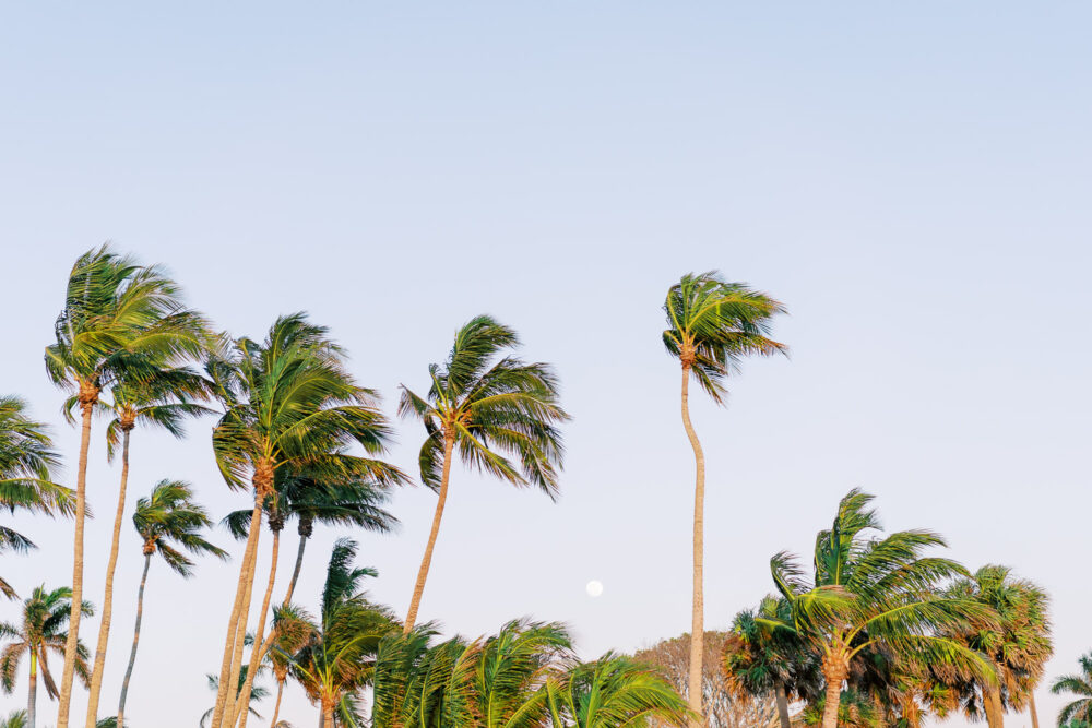 South Florida Maternity Photographer - Naples Beach Maternity